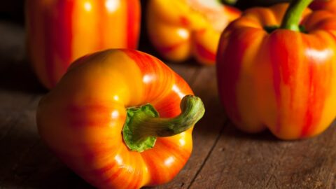 Can You Grow Aloha Peppers From Seeds