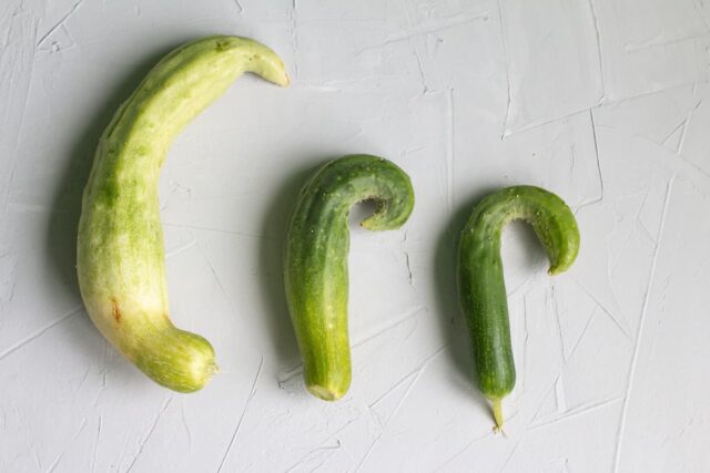 Why Do Cucumbers Curl On The Vine – 6 Causes